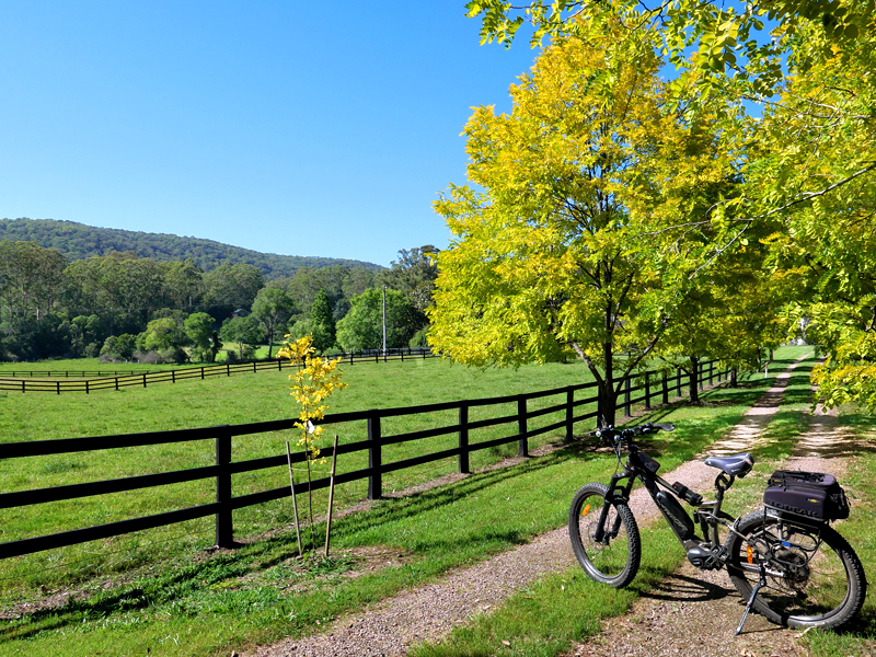 Ourimbah State Forest – eBiker Diary